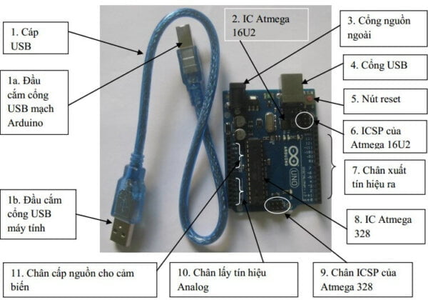 Arduino là gì? Tổng quan về bo mạch vi điều khiển Arduino